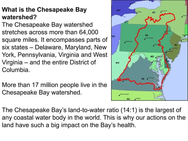 Problems with the watershed of chesapeake bay | PPT