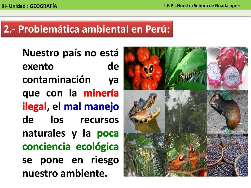 Problemática ambiental en el Perú