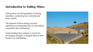 Problem With Tailing Mines And How Lives And Habitat Surrounding ...