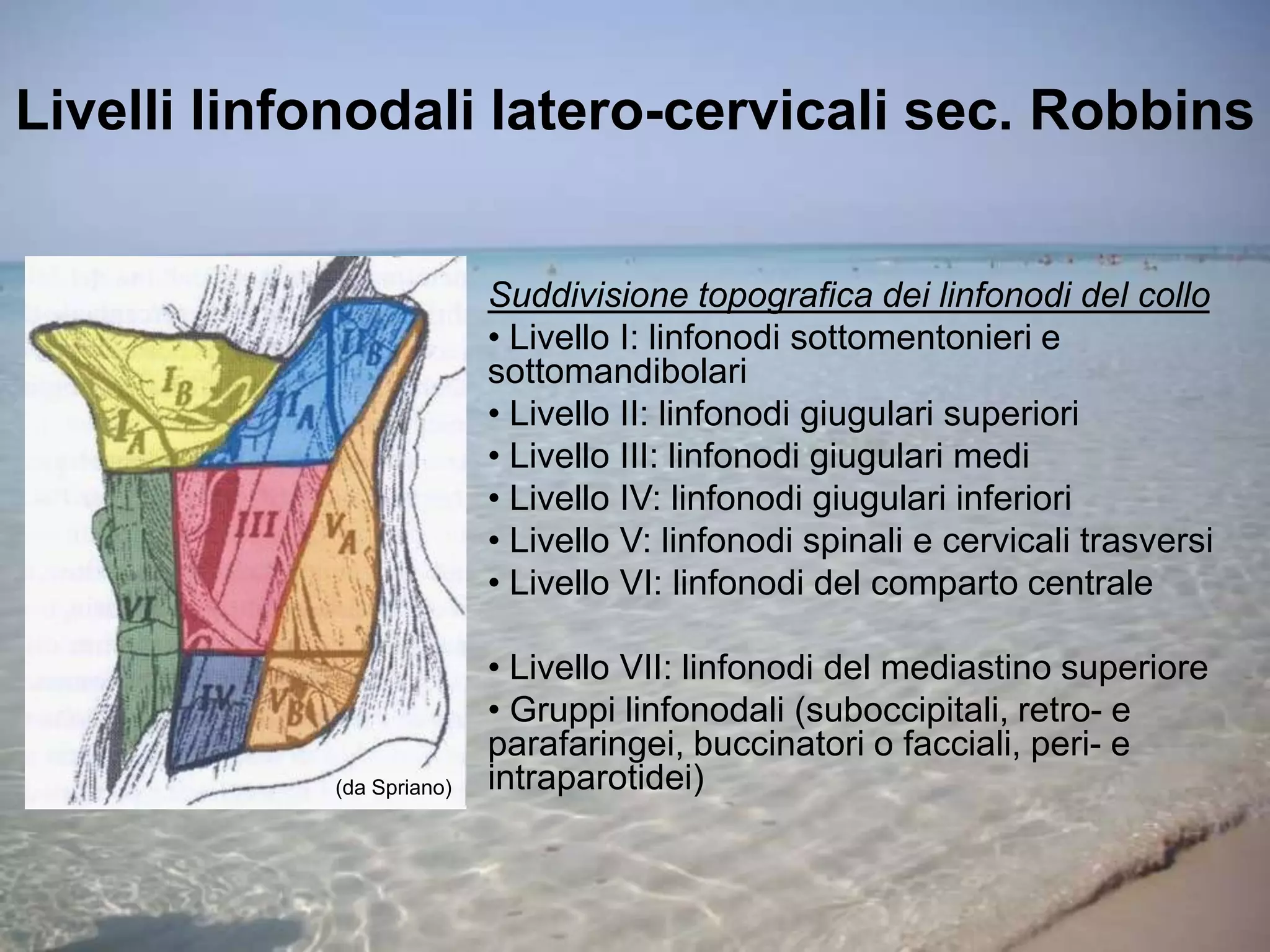 Indicazioni agli svuotamenti linfonodali del collo | PPTX