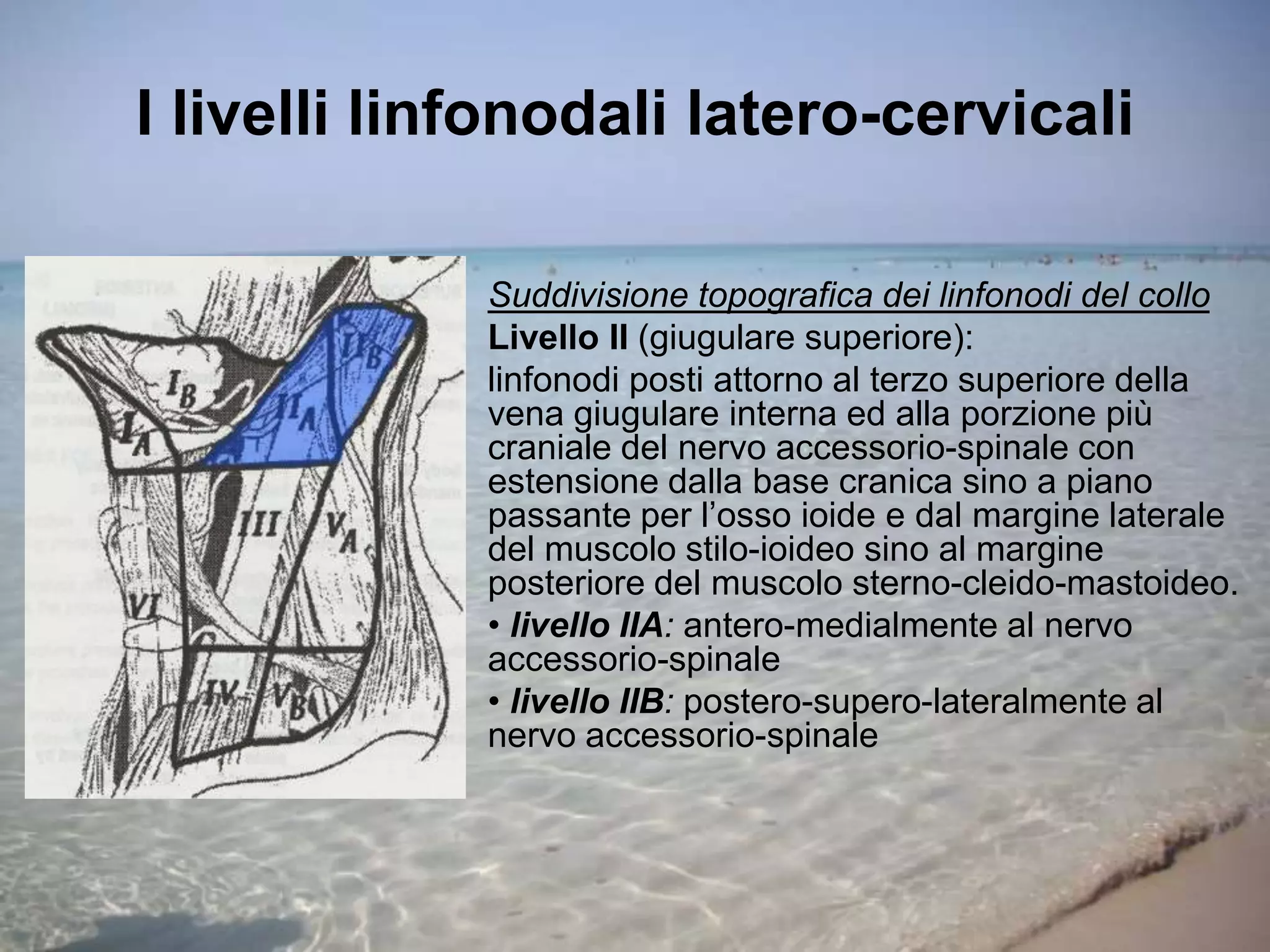 Indicazioni agli svuotamenti linfonodali del collo | PPTX