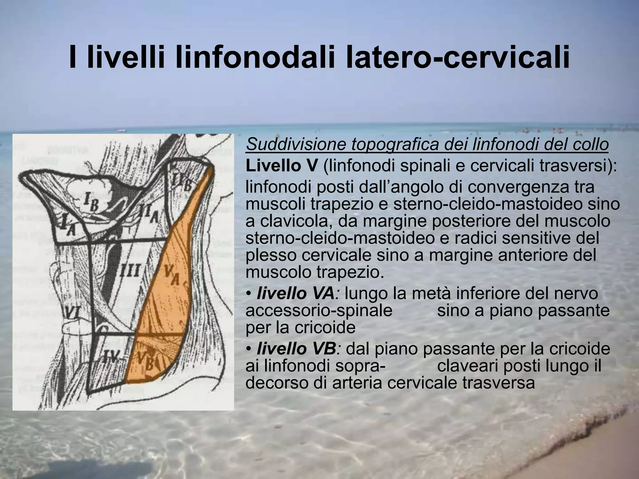 Indicazioni agli svuotamenti linfonodali del collo | PPTX