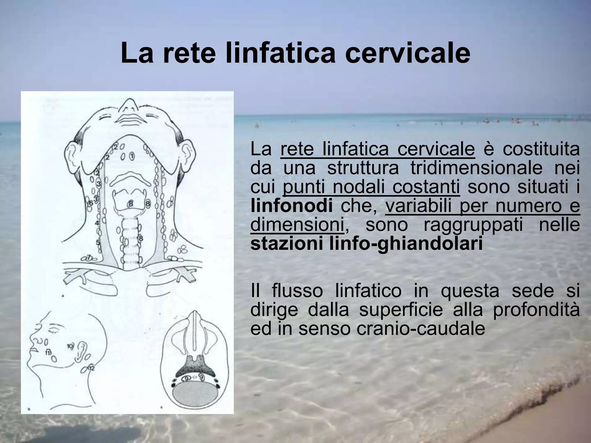 Indicazioni agli svuotamenti linfonodali del collo | PPTX