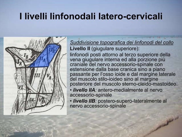 Indicazioni agli svuotamenti linfonodali del collo | PPTX