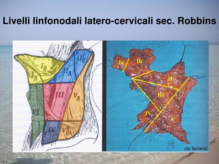 Indicazioni agli svuotamenti linfonodali del collo