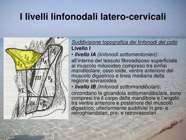 Indicazioni agli svuotamenti linfonodali del collo