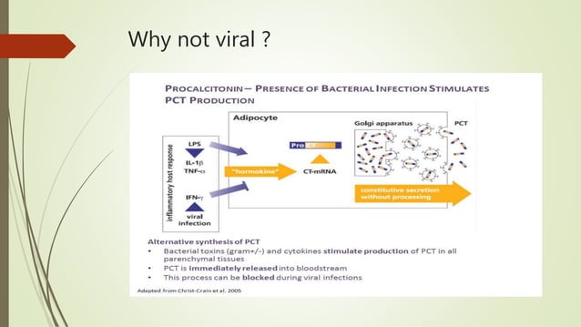 Procalcitonin | PPTX