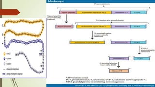 Procalcitonin | PPTX