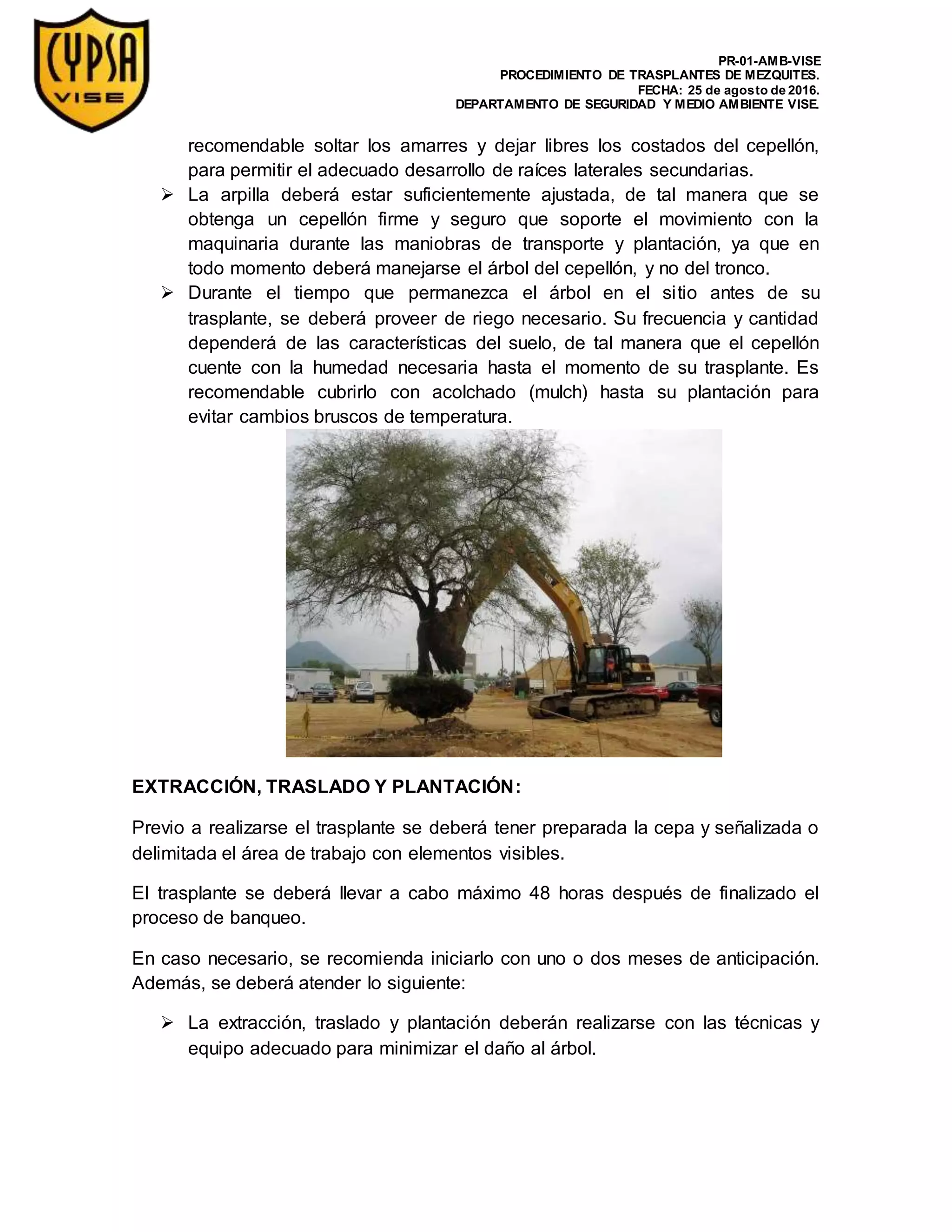 Procedimiento de derribo de arboles | DOCX