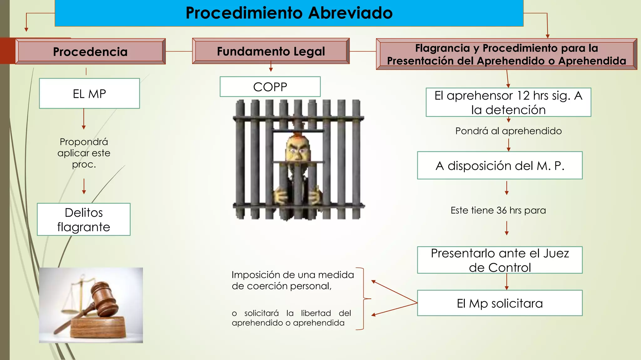 Procedimiento de flagrancia | PPTX