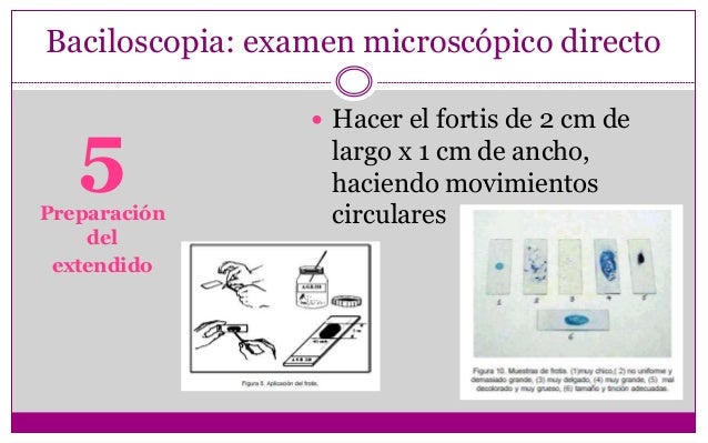 Procedimientos auxiliares del diagnóstico