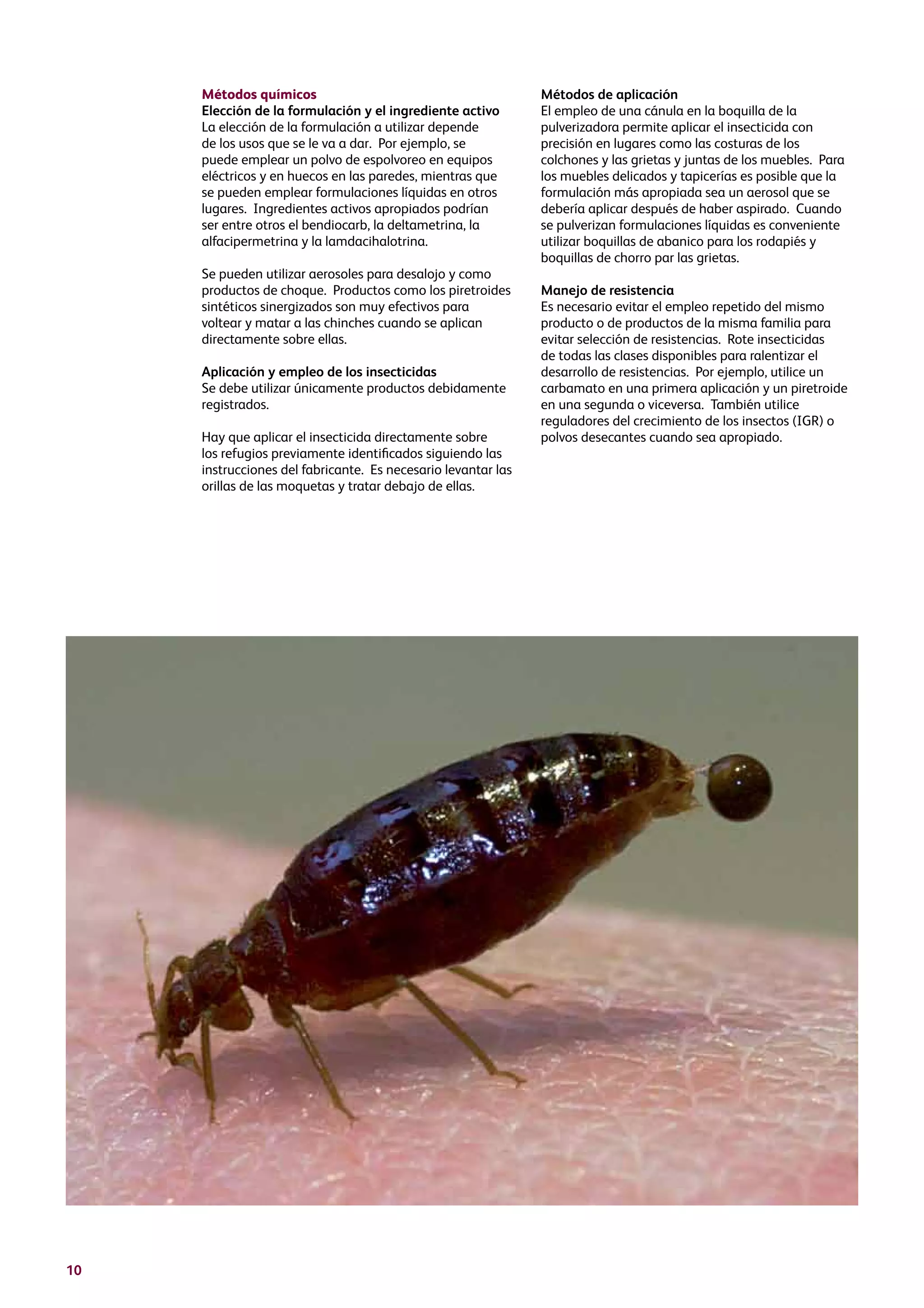 Manual para el control de plagas. El Chinche. | PDF