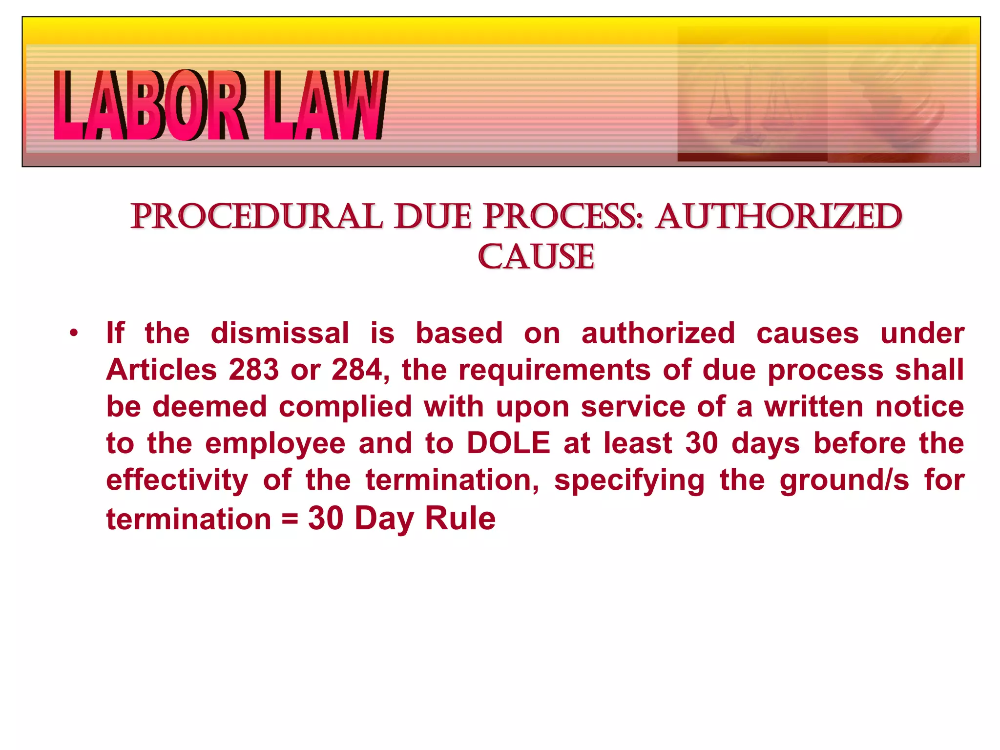 Procedural due process | PDF