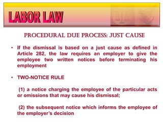 Procedural due process | PDF