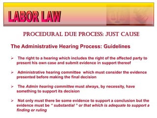 Procedural due process | PDF