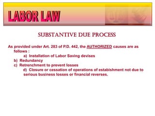 Procedural due process | PDF