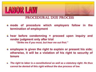 Procedural due process | PDF