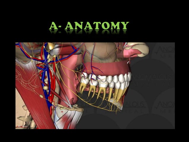 procedural errors in endodontics ppt.ppt | Dental Health | Diseases and ...