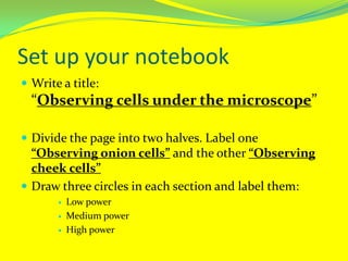 Procedure | PPTX | Oral care | Personal Care