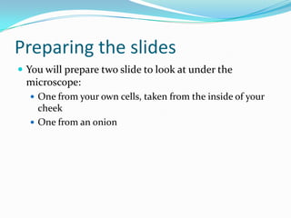 Procedure | PPTX | Oral care | Personal Care