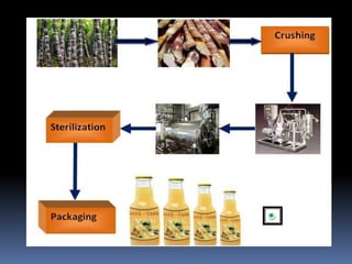 -Procedure-of-Sugarcane-juice.pptx