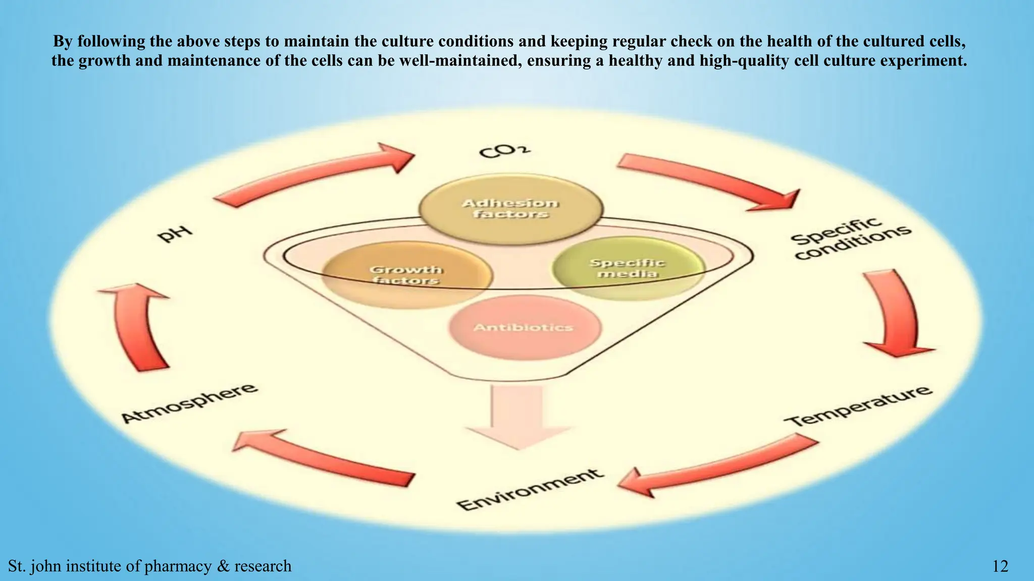 PROCEDURE FOR CELL CULTURE PREPARATION.pptx