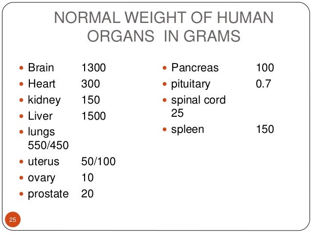 Procedure of autopsy