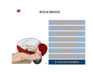 Procedure of CPR | PDF