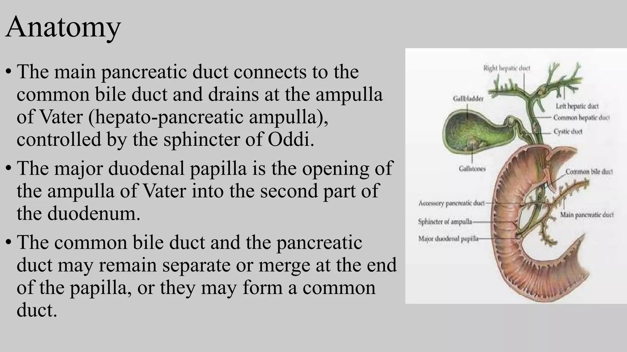 Procedure Of Ercp And T Tube Cholangiography Pptx