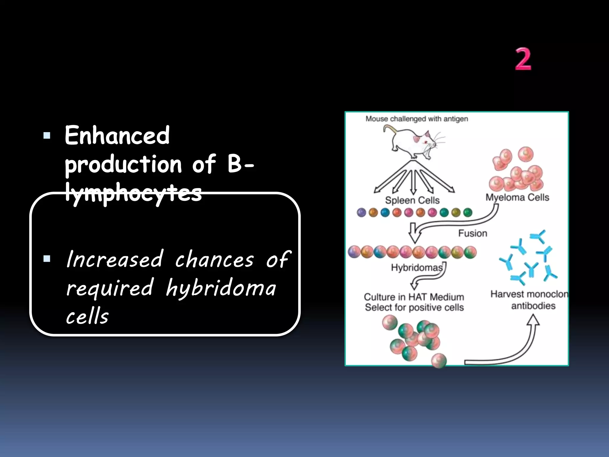 Procedure of hybridoma technology | PPT