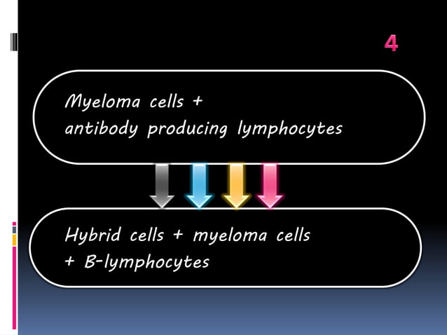 Procedure of hybridoma technology | PPT