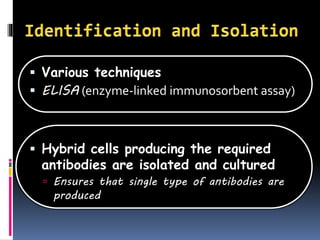 Procedure of hybridoma technology | PPTX