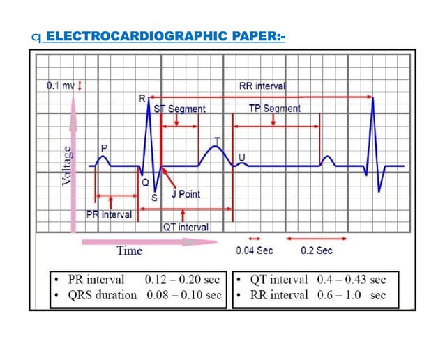 Procedure of Recording ECG | PDF | Heart and Cardiovascular Diseases ...