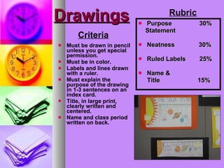 Procedures for Science 7 | PPT