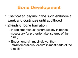 Procedures I Chapter 1 Bontrager | PPT