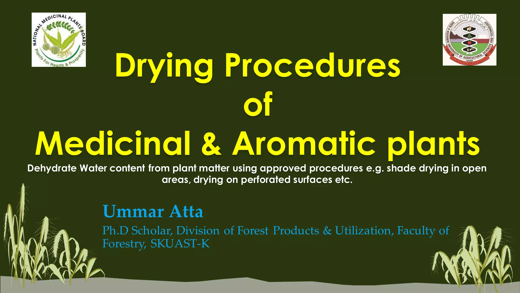Drying Procedures of Medicinal & Aromatic plants | PDF
