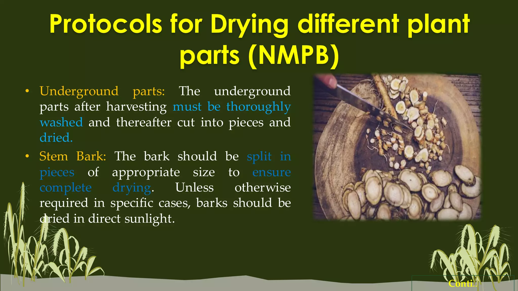 Drying Procedures of Medicinal & Aromatic plants | PDF