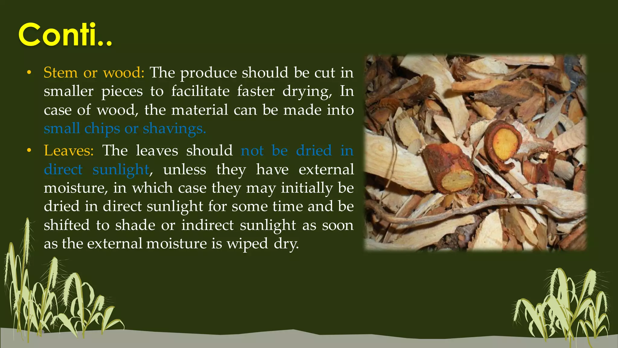 Drying Procedures of Medicinal & Aromatic plants | PDF