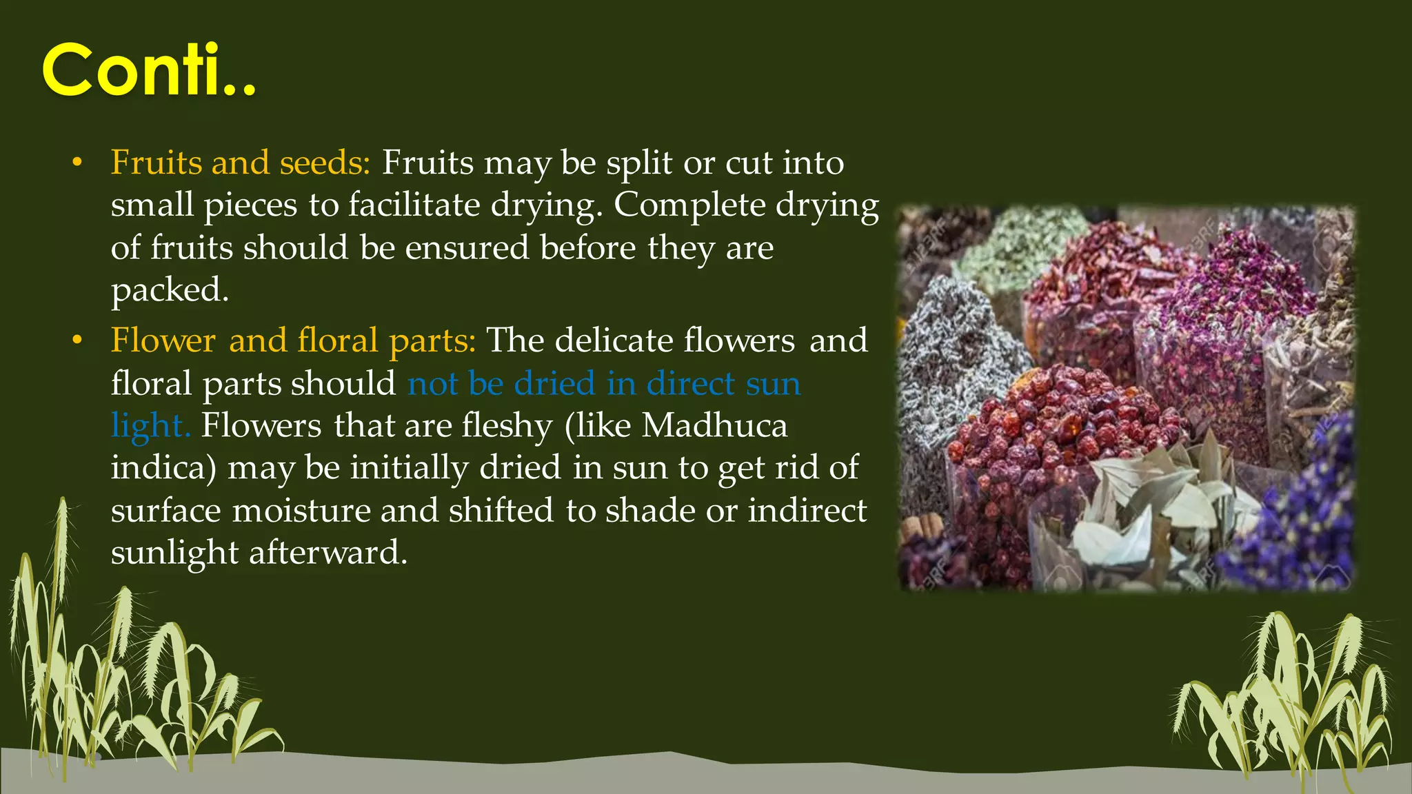 Drying Procedures of Medicinal & Aromatic plants | PDF