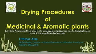 Drying Procedures of Medicinal & Aromatic plants | PDF