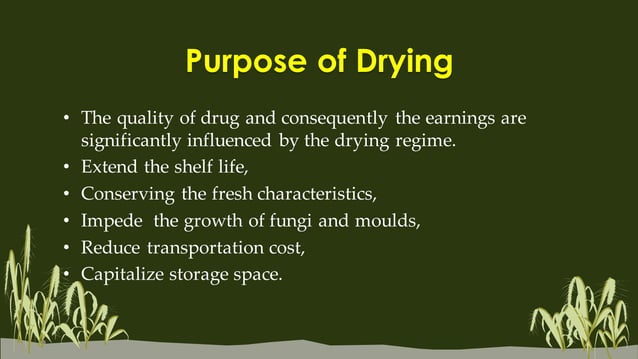 Drying Procedures of Medicinal & Aromatic plants | PDF | Gardening ...