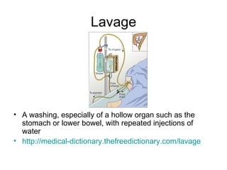 Procedures Performed On Digestive System | PPT