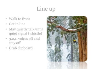 Procedures ppt | PPTX