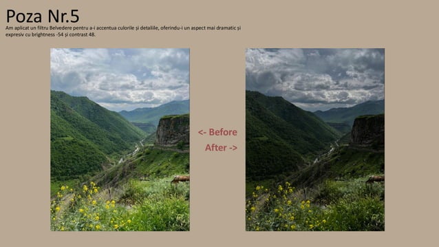 Procesare si prelucrare de imagini - portofoliu final Marya 2.pdf