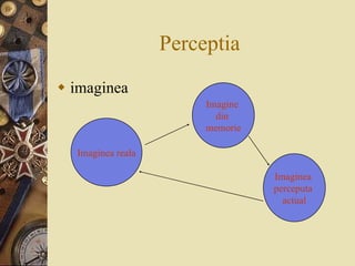 Procese senzoriale | PPT