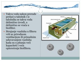 Procesi aktivnog mulja | PPTX