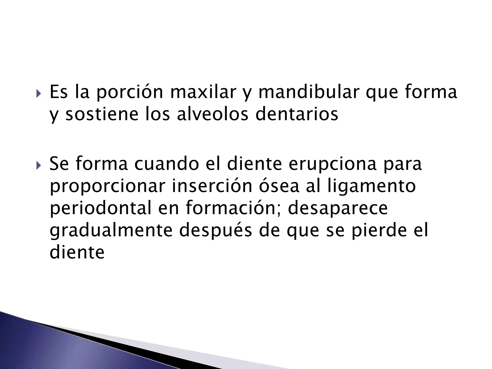 Proceso alveolar | PPTX