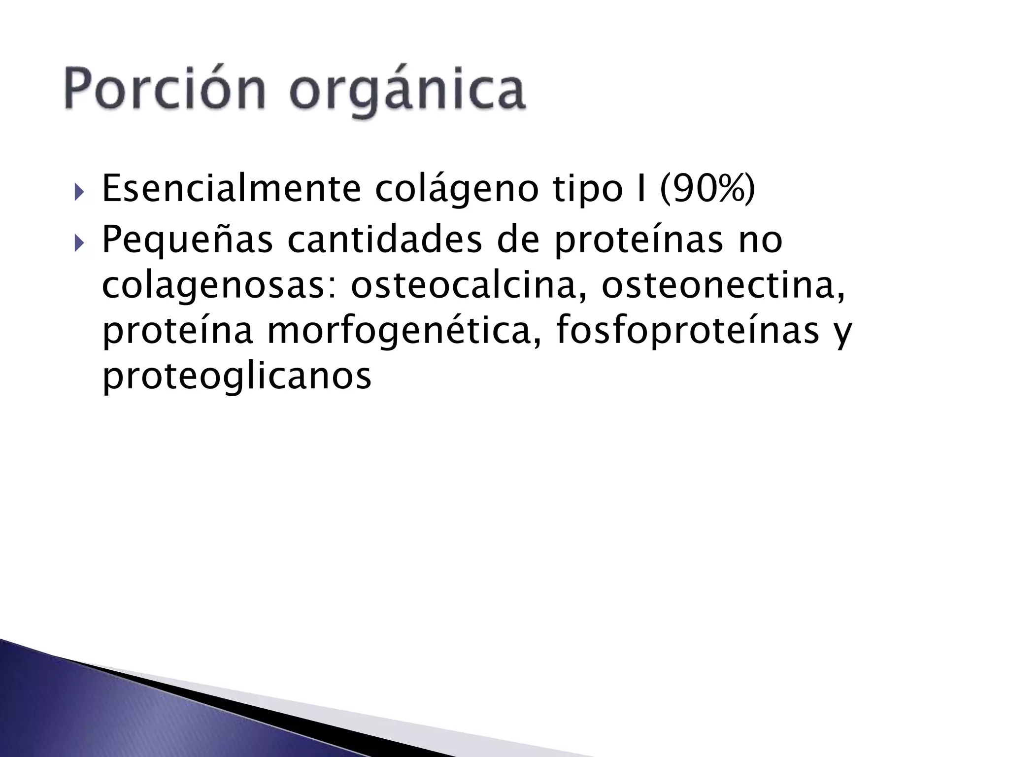 Proceso alveolar | PPTX