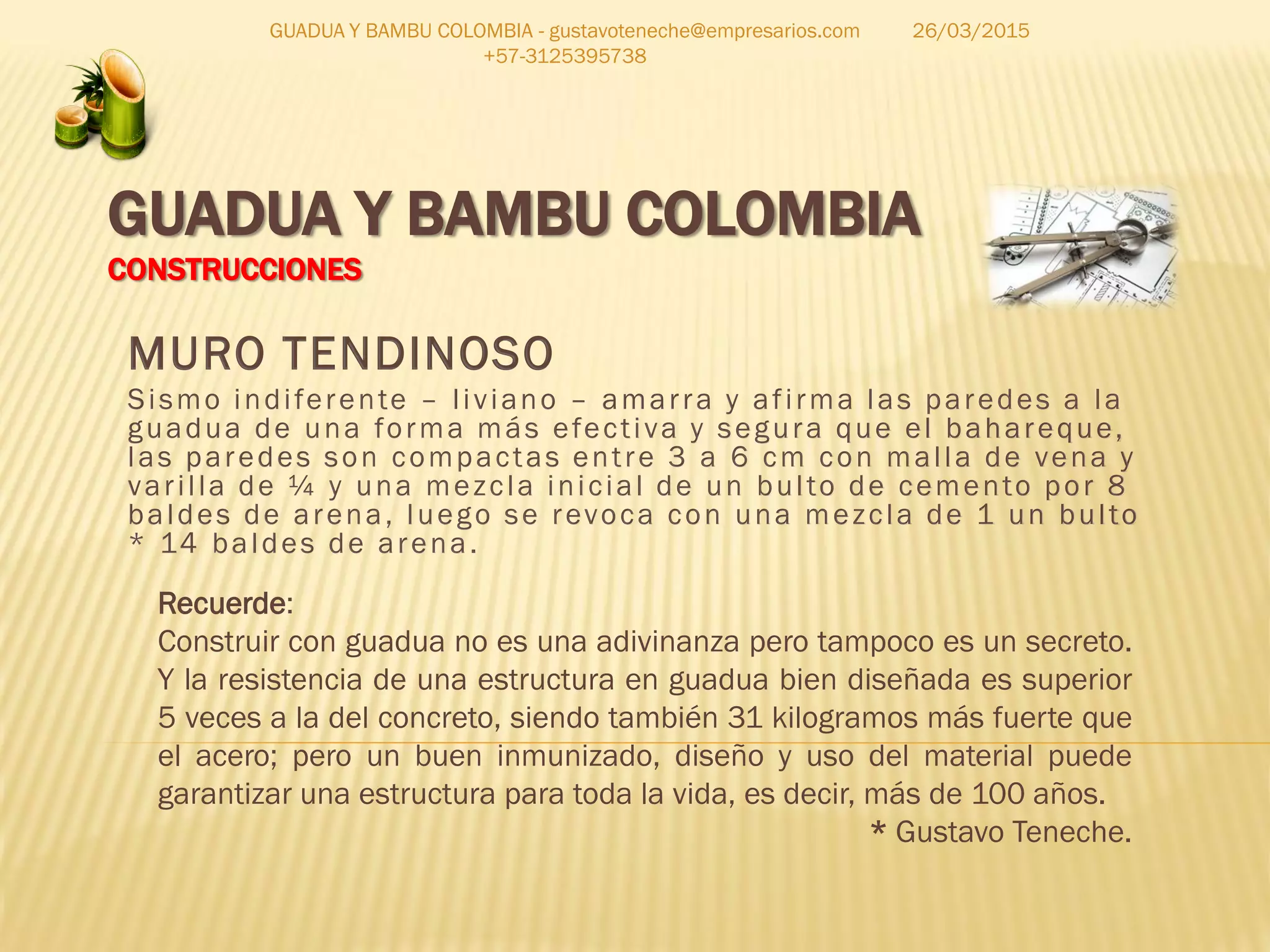 Proceso de construccion muro tendinoso guadua colombia | PDF ...