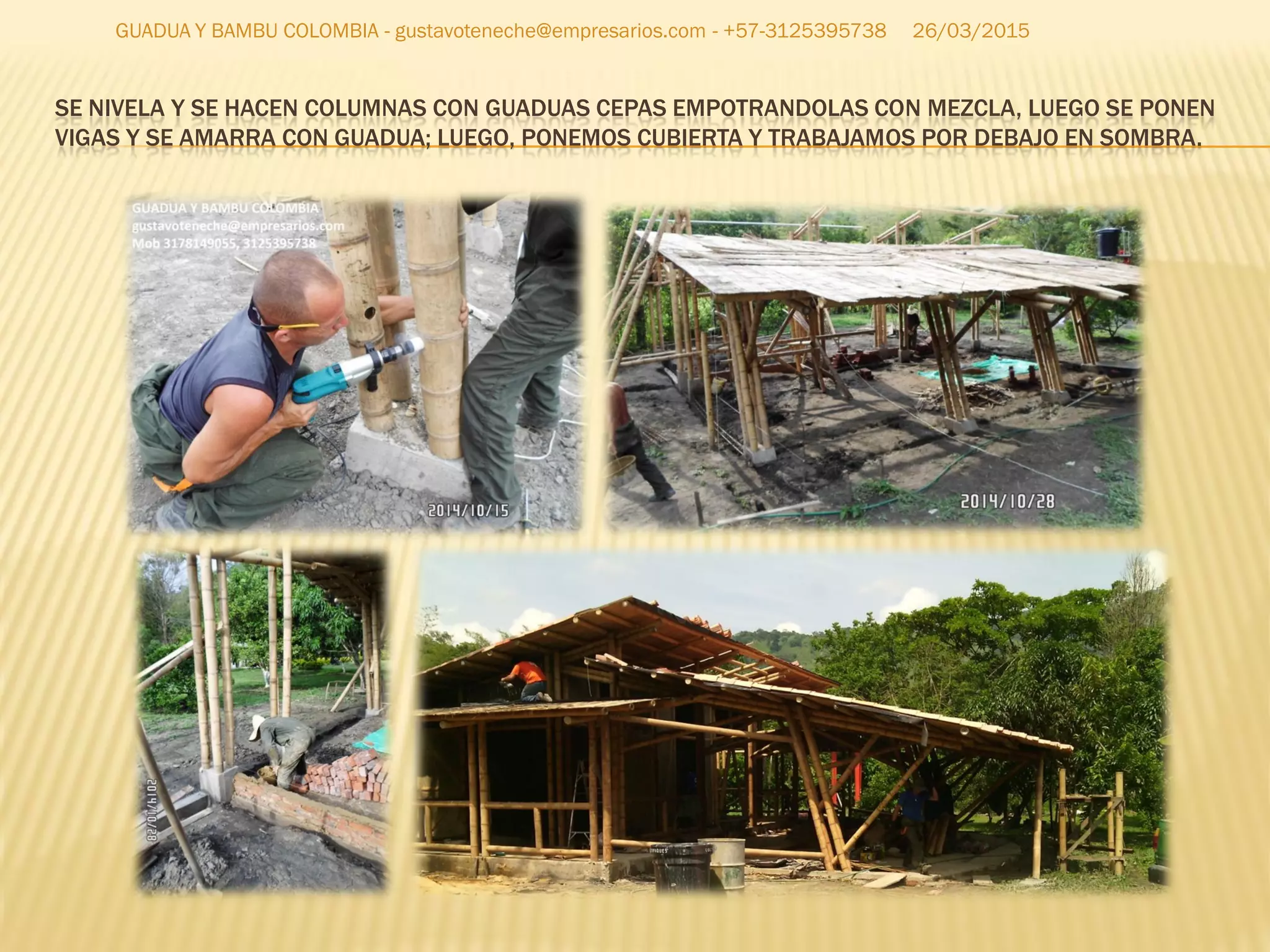 Proceso de construccion muro tendinoso guadua colombia | PDF ...